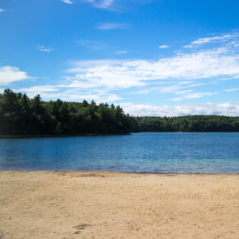 MyRec.com Recreation Software » Simplifying Recreation Management